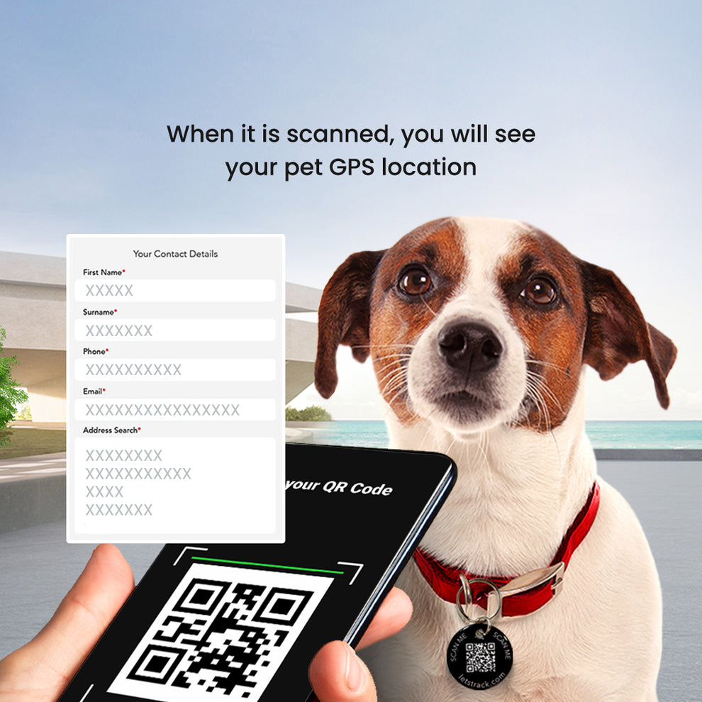 Letstrack Pet Tracker Tags | Dog Tags & Cat Tags